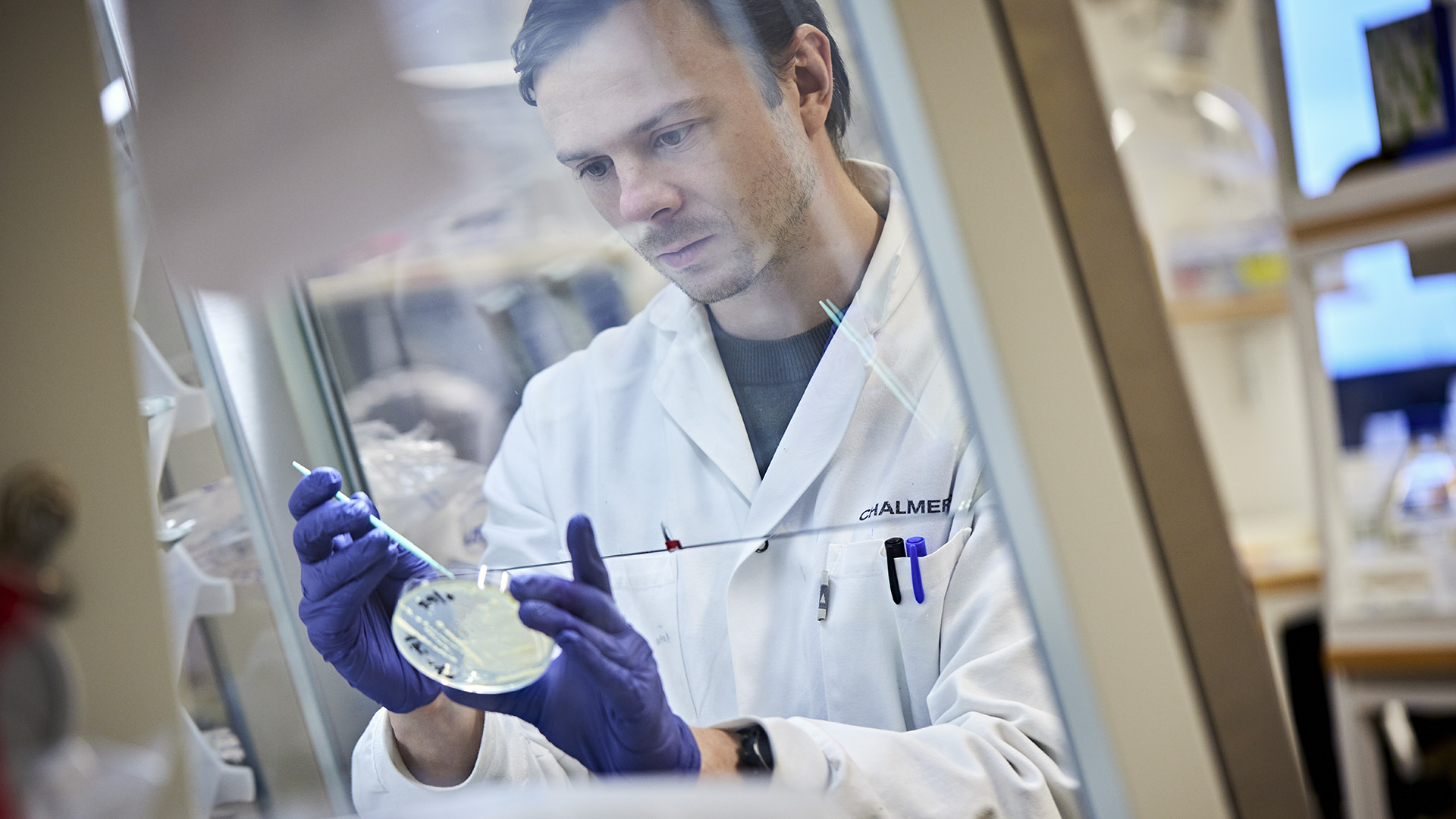 Education at Life Sciences