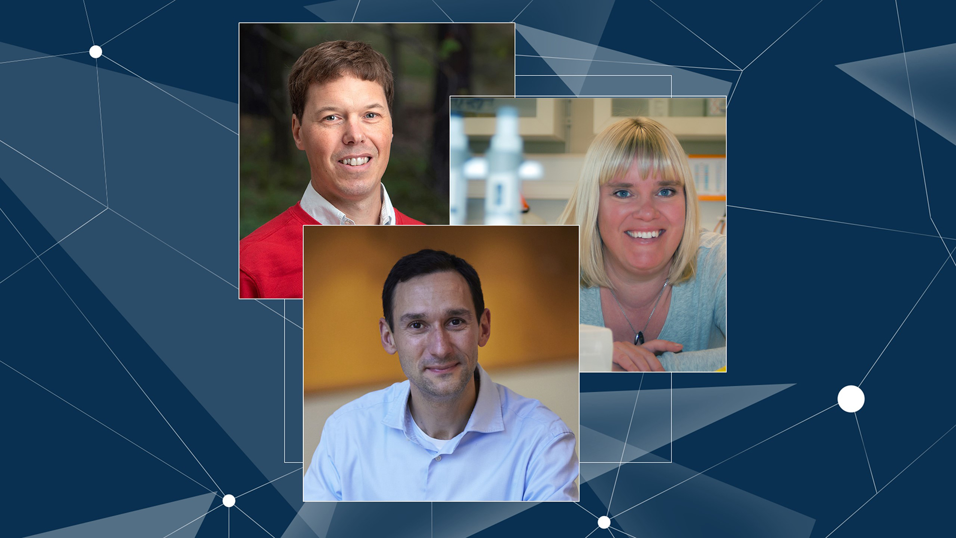 Chalmers researchers receive prestigious KAW grants | Chalmers