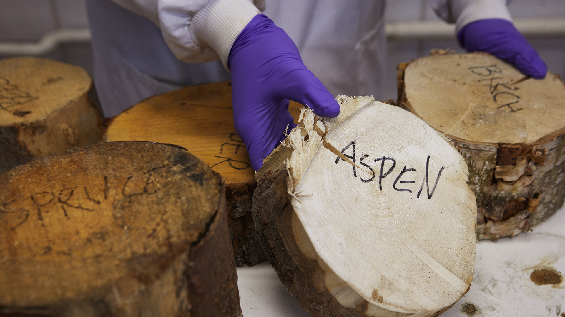 Forest Products and Chemical Engineering | Chalmers