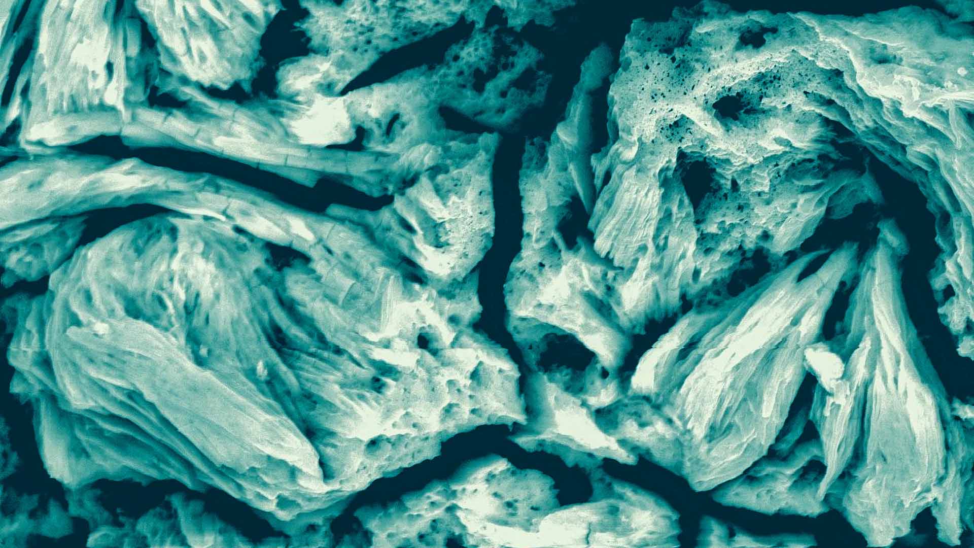 Five finalists announced in this year’s materials science photo competition | Chalmers