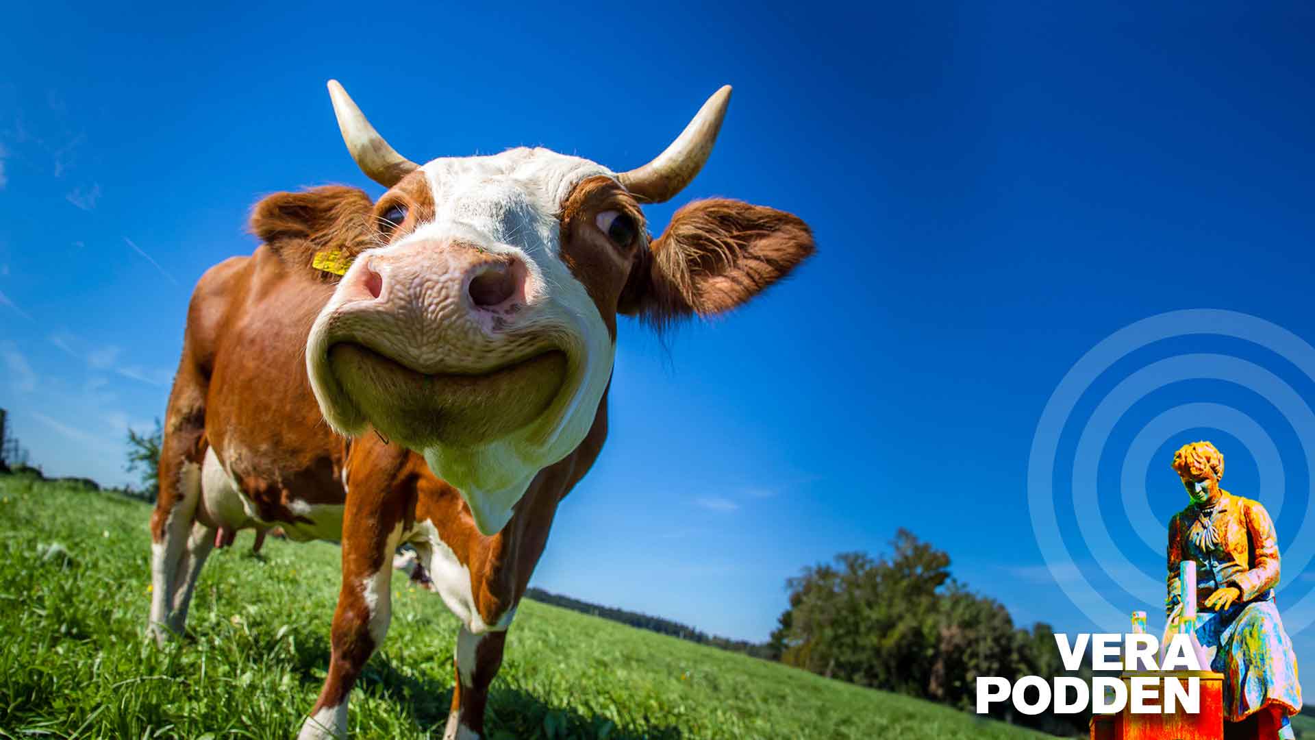 Upptäck Verapodden: Chalmers egen podcast | Chalmers