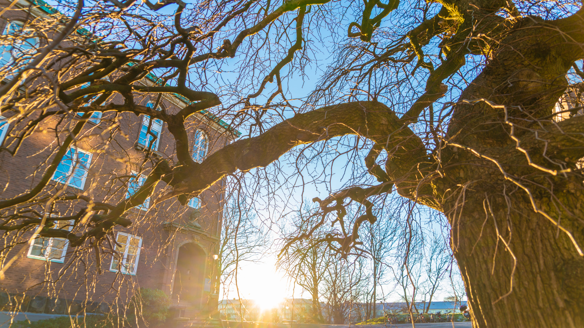 Four new Assistant Professors to Physics