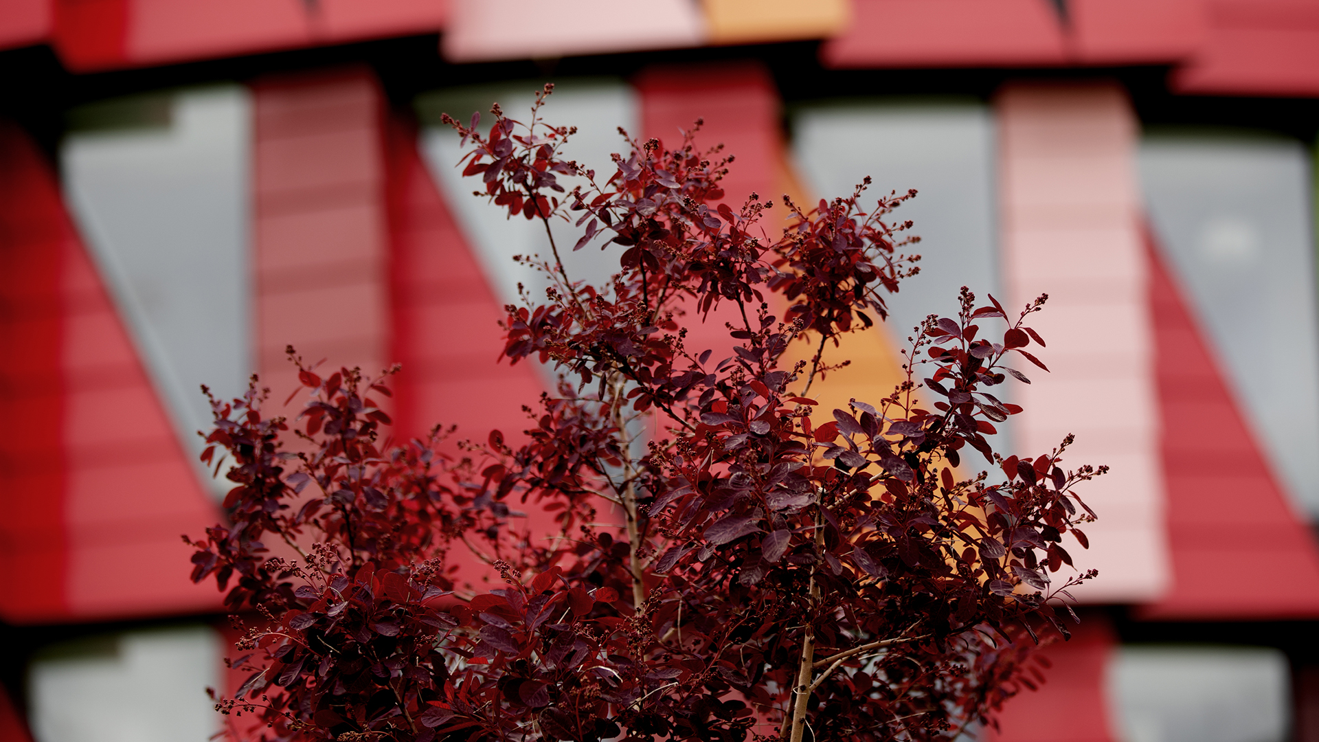 Öppna nätbaserade kurser