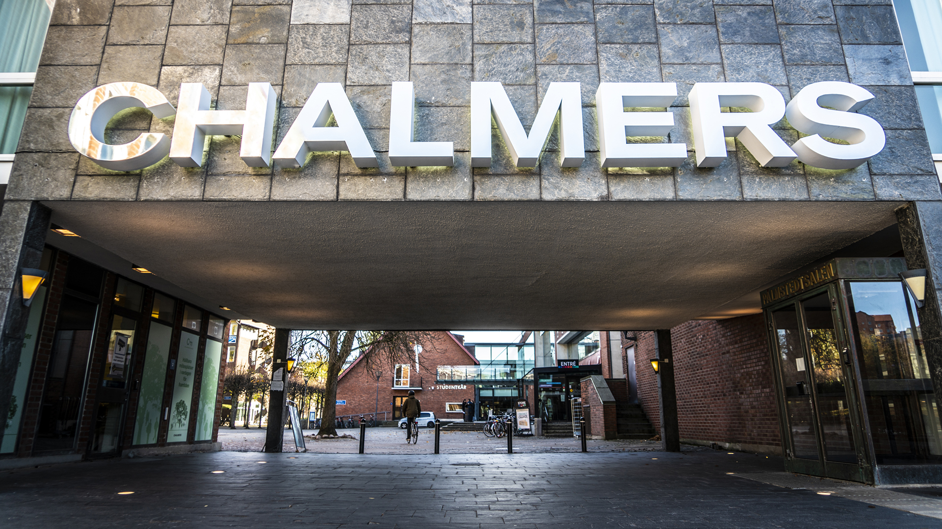 Flera från Chalmers invalda i kunglig akademi