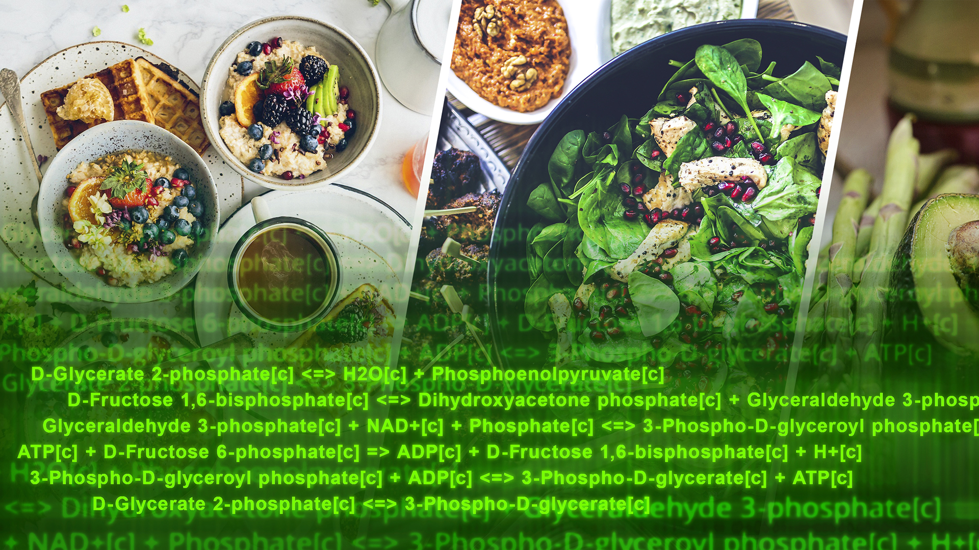 Designing healthy diets – with computer analysis