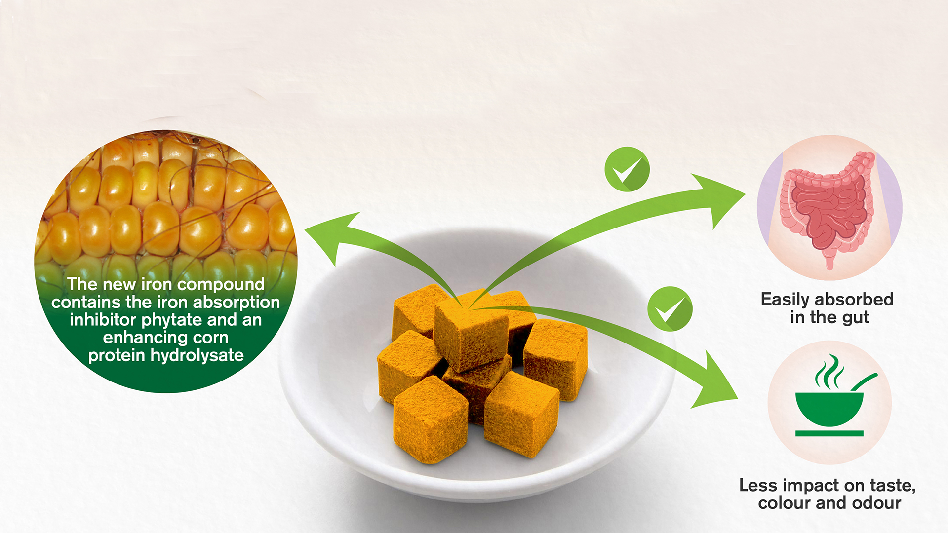 Bouillon fortified with a new iron compound could help reduce iron ...