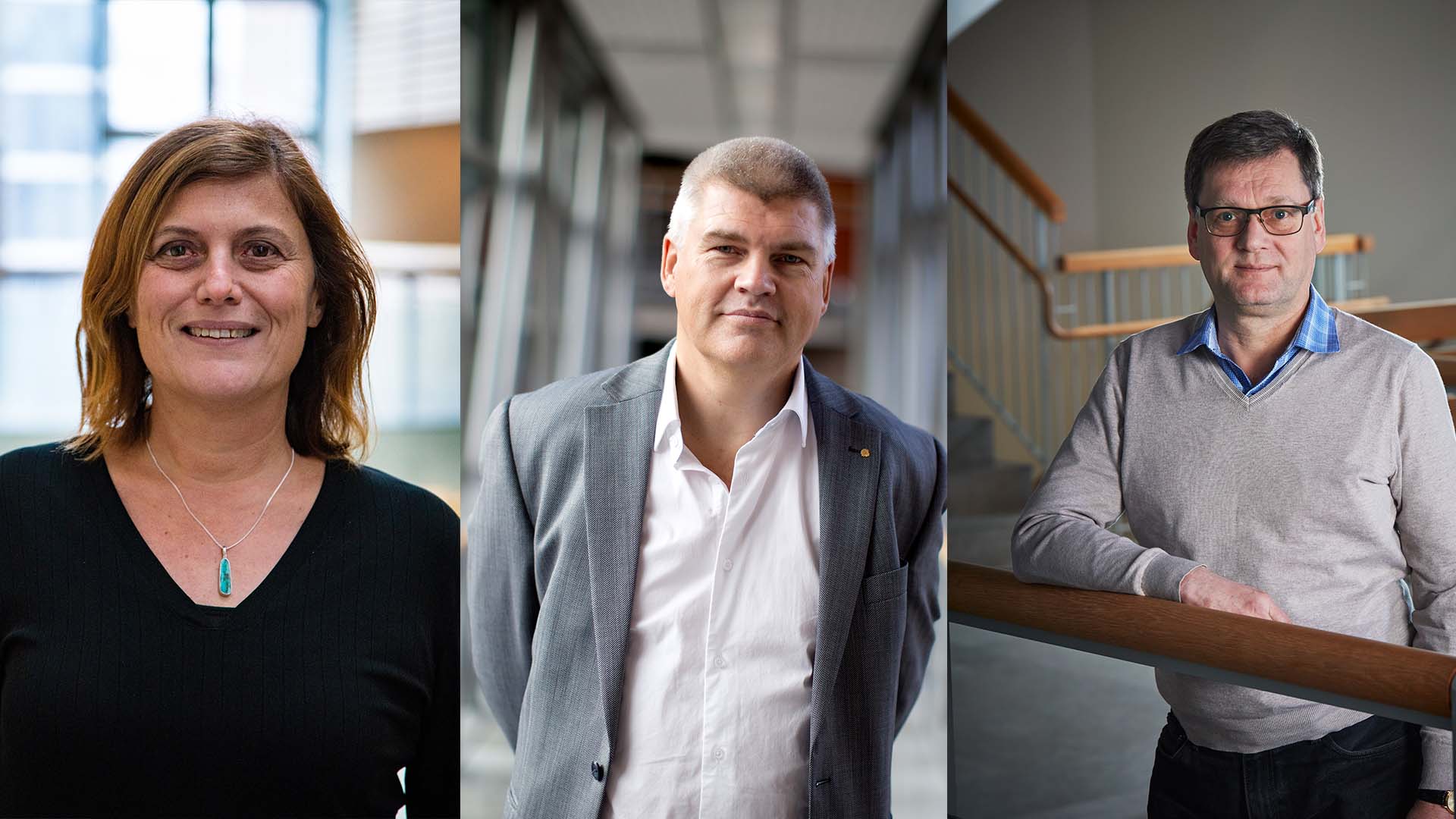 Grand slam for MC2 as Wallenberg Scholars 2024 are appointed