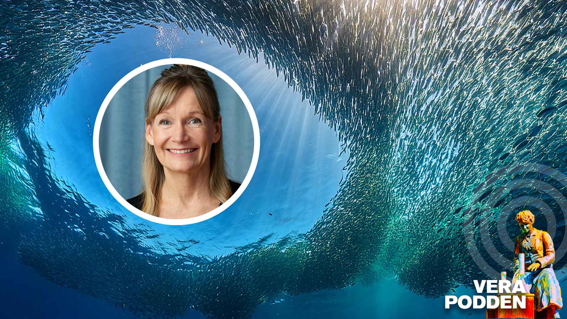 Maximizing Herring: From Sea to Table | Chalmers