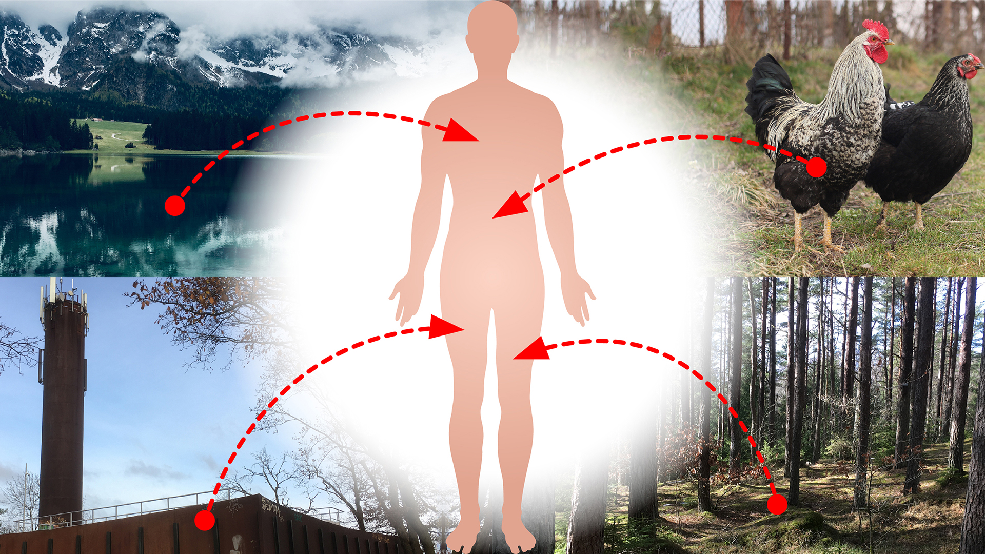 Ny teori om snabb spridning av antibiotikaresistens