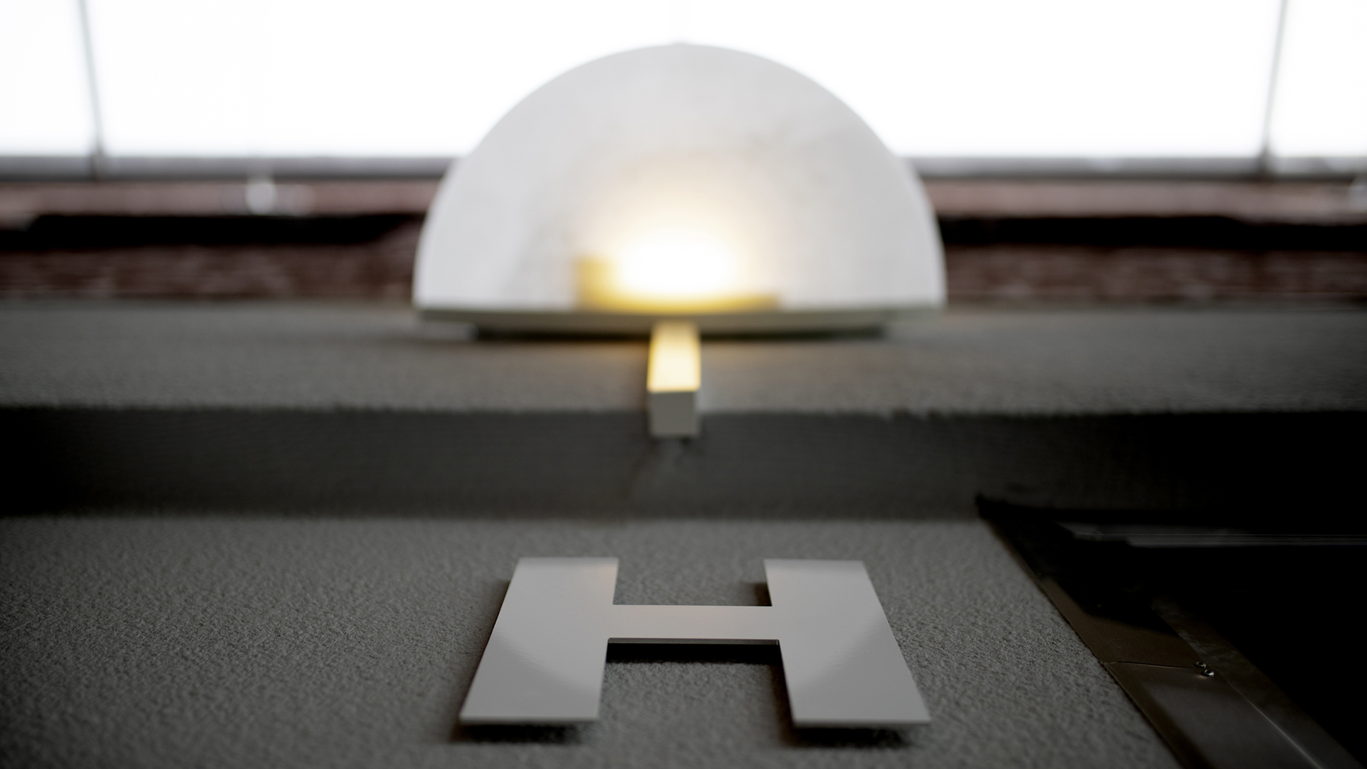 BioFINE – BioFunctional IntraNeural Electrodes