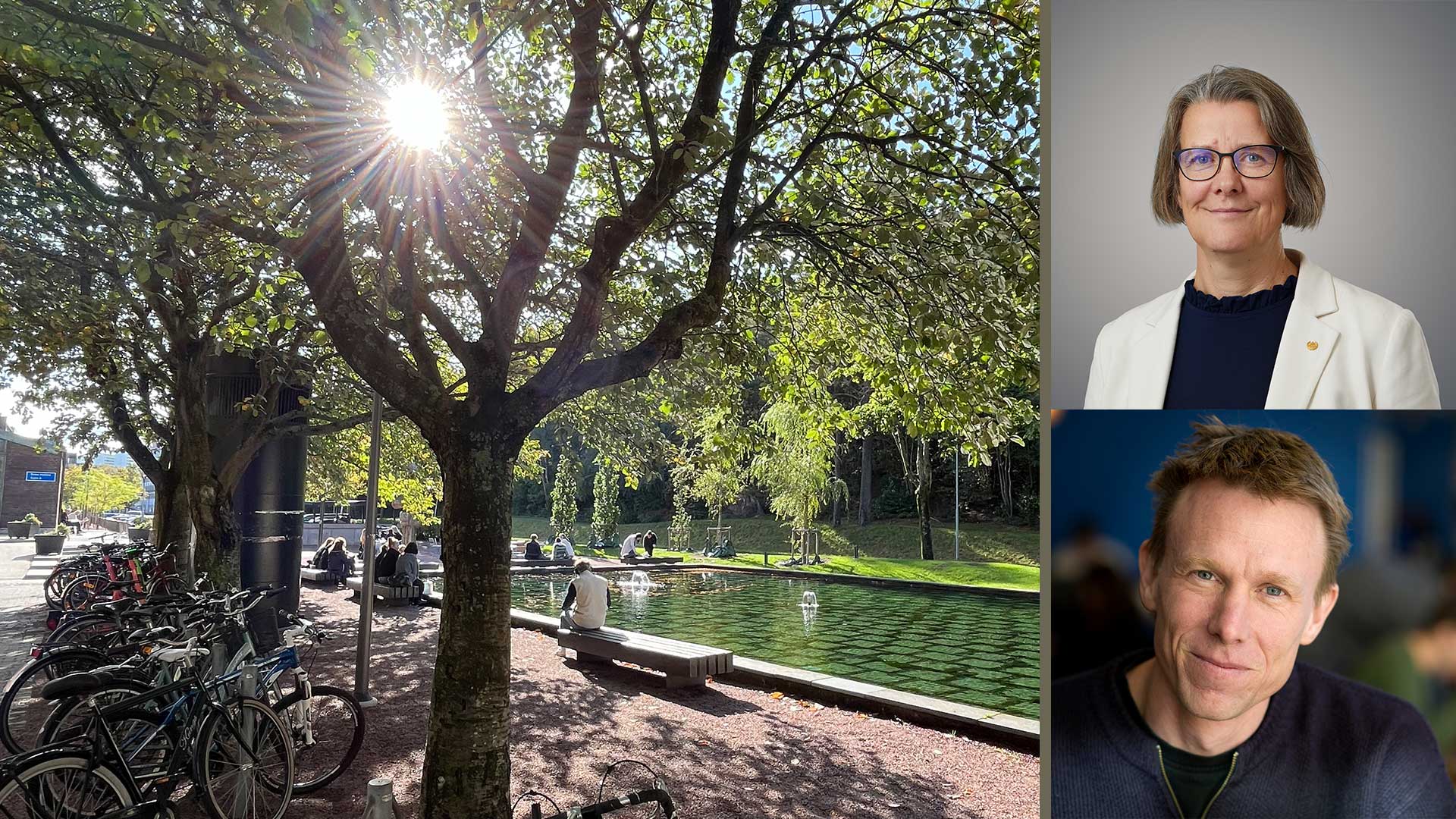 Innovationsprogrammet Shift Sweden får Chalmersrepresentanter