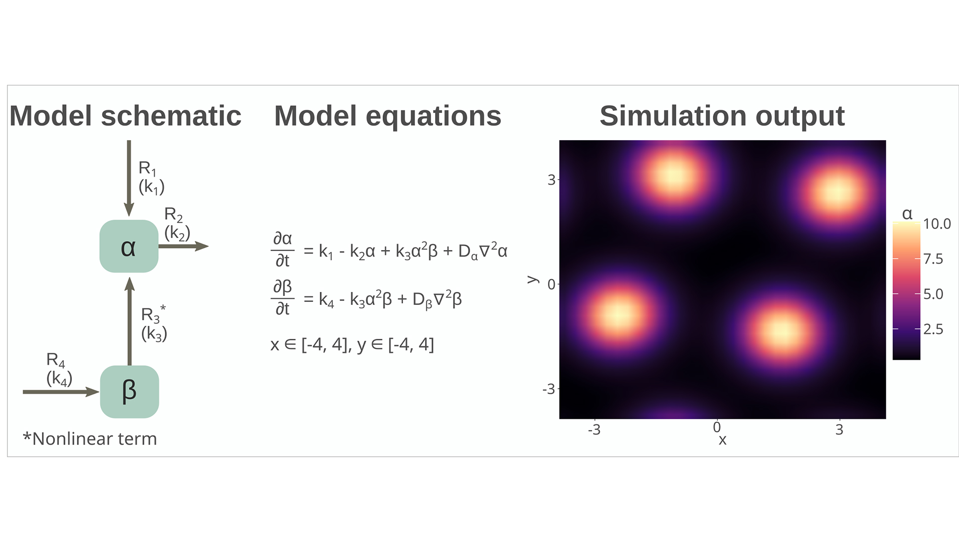 Mathematics reveals how the size of cellular components is regulated ...